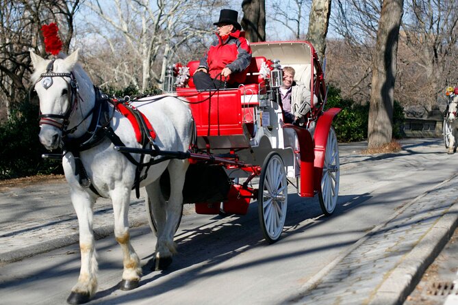 Central Park and NYC Private Horse Carriage Ride - Final Thoughts