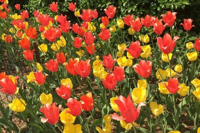 Central Park and Upper East Side Walking Tour - Discovering Central Park Through a Guided Lens