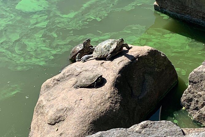 Central Park and Upper East Side Walking Tour - FAQ