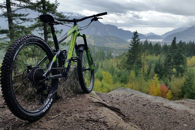 Central Park Bike Rental In New York City - Who Should Consider This Experience?