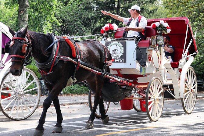 Central Park Carriage Ride w/ Drop Off @ Tavern On Green (45 min) - Why This Tour Might Be Perfect for You