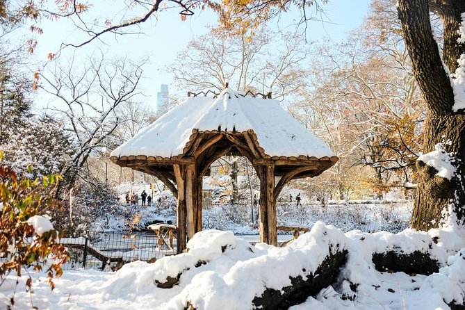 Central Park Guided Walking Tour in French - Practical Details: What to Expect