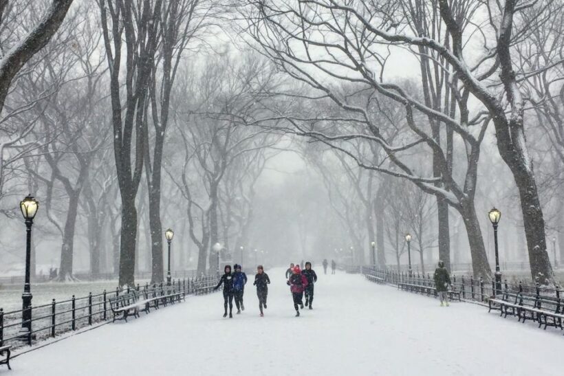 Central Park: Highlights Running Tour - The Value: Is It Worth the Price?