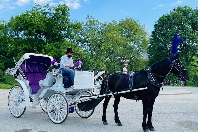 Central Park Horse and Carriage Rides - What Does the Experience Include?