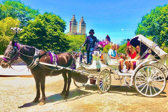 Central Park Horse and Carriage Rides - The Practicalities