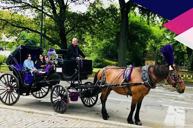 Central Park Horse and Carriage Rides - Why Choose This Tour?