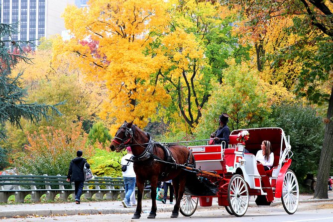 Central Park Horse Carriage Ride Short Loop (Up to 4 Adults)) - FAQ