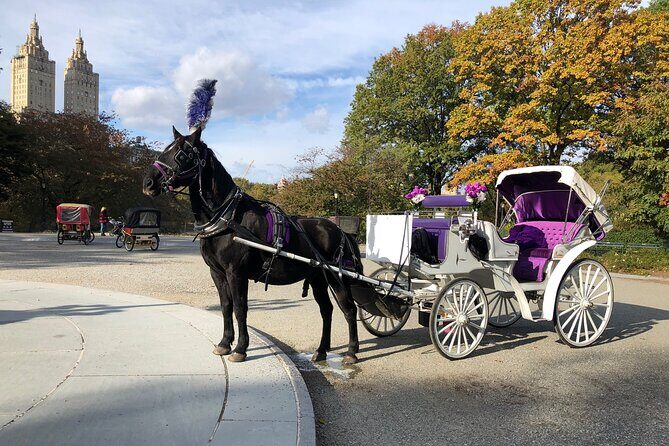 Central Park Horse Carriage Rides Since 2005 - Who Would Love This Tour?