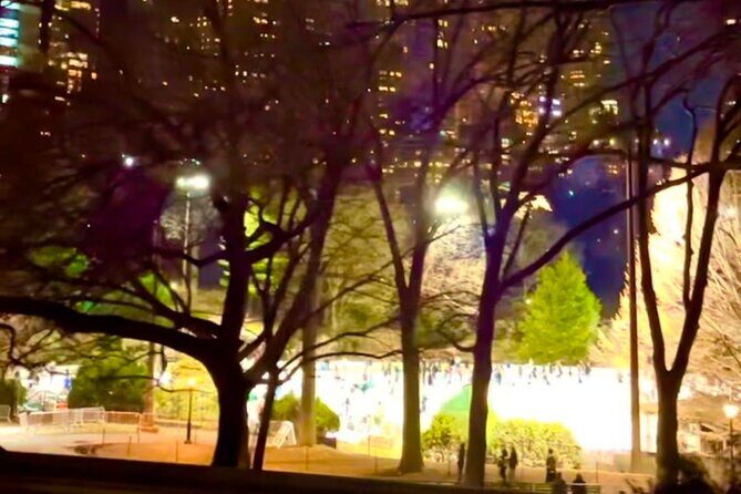 Central Park Moonlight Tour with Photo (45 min) ~ Skip the line - Final Word