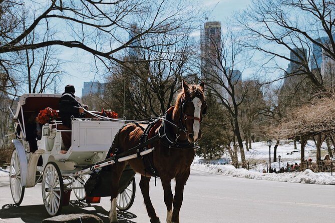 Central Park New York - Exclusive Guided Walking Tour - Final Thoughts
