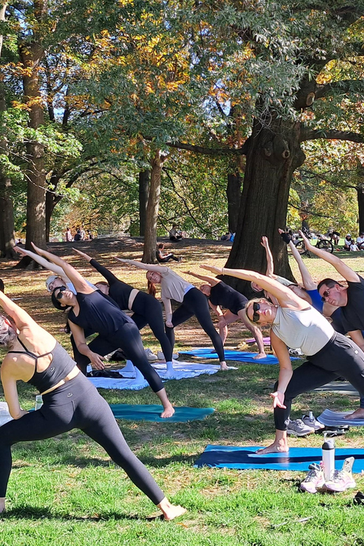 Central Park, New York: Yoga Classes in the park since 2012 - Who Should Try This Experience?