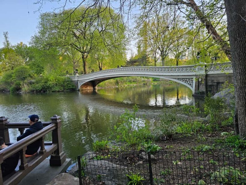 Central Park, NY: Nature, Architecture and Movie Scenes Tour - Who Will Love This Tour?