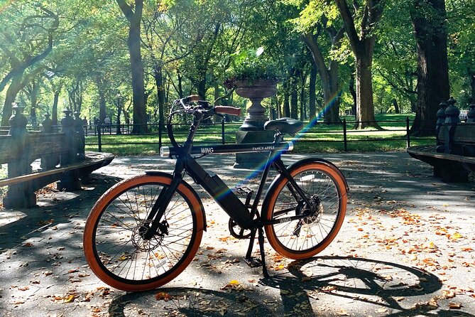 Central Park NYC Electric Bike Rental - Bike Performance and Ease of Use