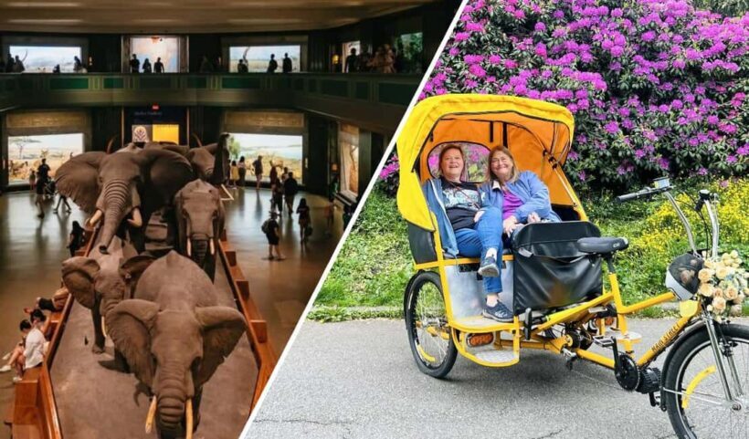 Central Park Pedicab Tour + Optional Natural History Access - Why Choose a Pedicab Tour in Central Park?