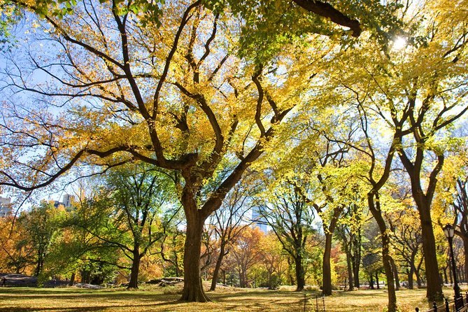 Central Park Photography Tour With Local Photographer - Photography Skills You Will Learn