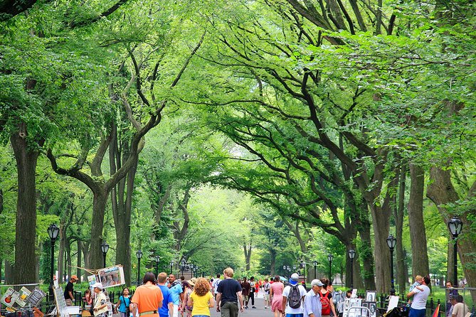 Central Park Photography Tour With Local Photographer - Why Book This Tour in Advance