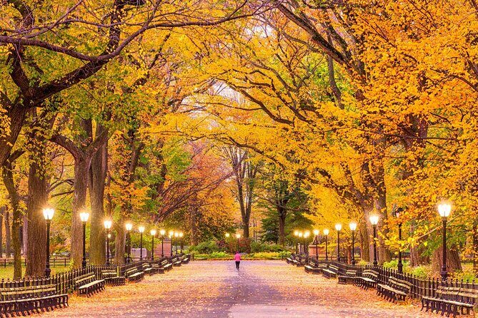 Central Park Picnic with Full Day Bike Rental - Key Points