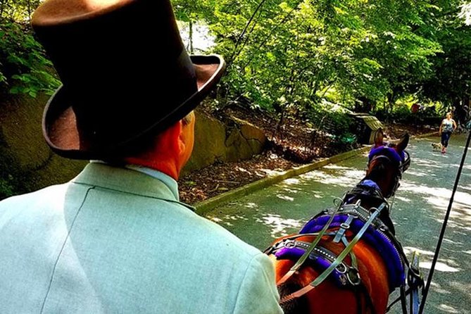 Central Park Private Horse and Carriage Tour - The Role of Knowledgeable Driver-Guides