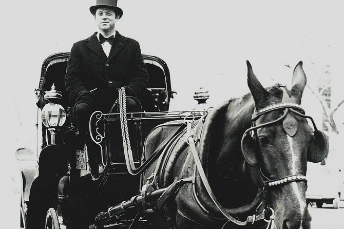 Central Park Private Horse and Carriage Tour - Customer Feedback: What to Expect
