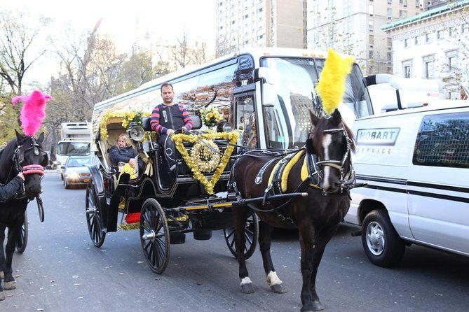 Central Park Private Horse Carriage Tour in NYC - The Value of a Private Ride