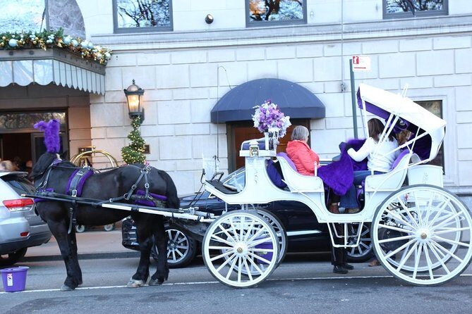 Central Park Private Horse Carriage Tour in NYC - Practical Details: Timing, Accessibility, and Booking