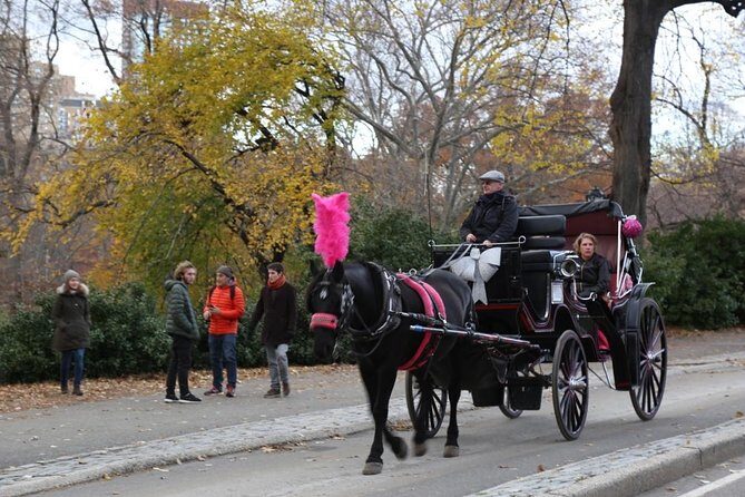 Central Park Private Horse Carriage Tour in NYC - Authentic Perspectives from Past Participants