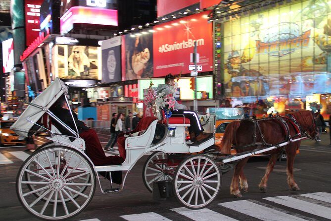 Central Park Private Horse Carriage Tour in NYC - Frequently Asked Questions