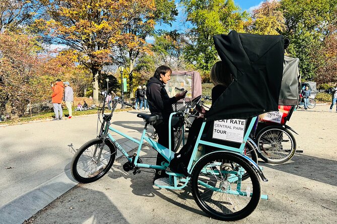 Central Park Private Pedicab Tour (60 mins) - The Benefits of a Private Guide