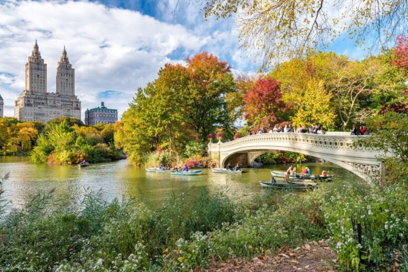 Central Park Private Walking Tour with Transfers - What Real Travelers Say