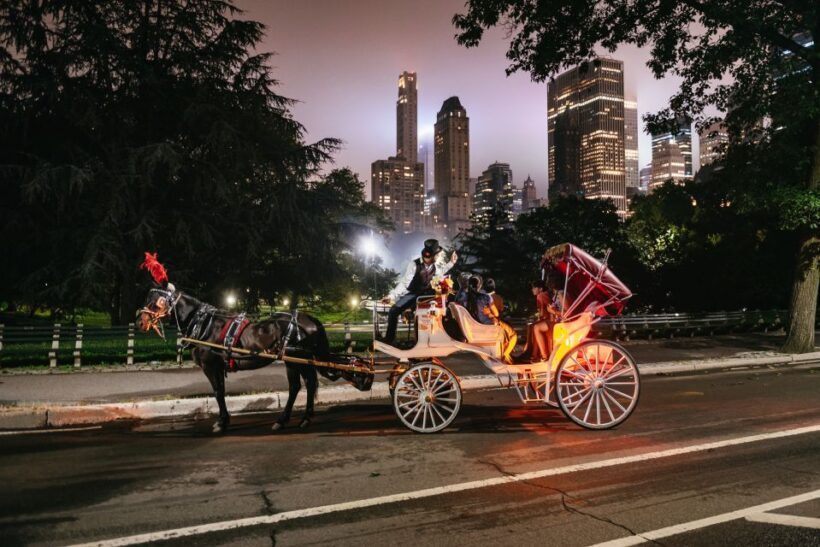 Central Park, Rockefeller & Times Carriage Ride (4 Adults) - A Closer Look at the Itinerary and Experience