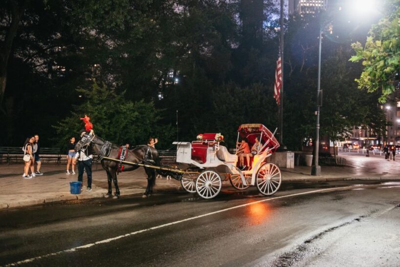 Central Park, Rockefeller & Times Carriage Ride (4 Adults) - Final Thoughts