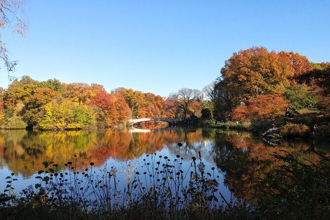 Central Park Scandal and Vice Tour - Authentic Reviews Speak Volumes