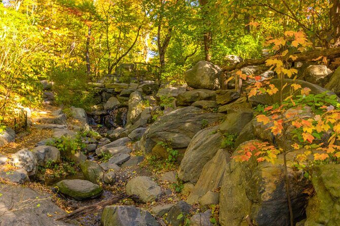 Central Park Scandal and Vice Tour - The Sum Up: Who Will Enjoy This Tour?