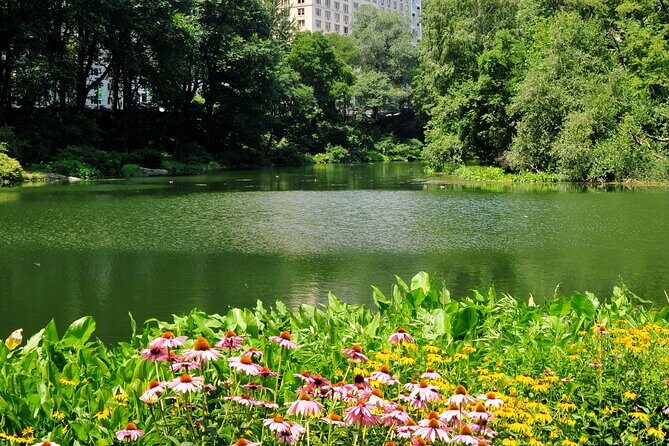 Central Park Scenic Walk with Local Guides - The Itinerary in Detail: What You’ll See and Experience