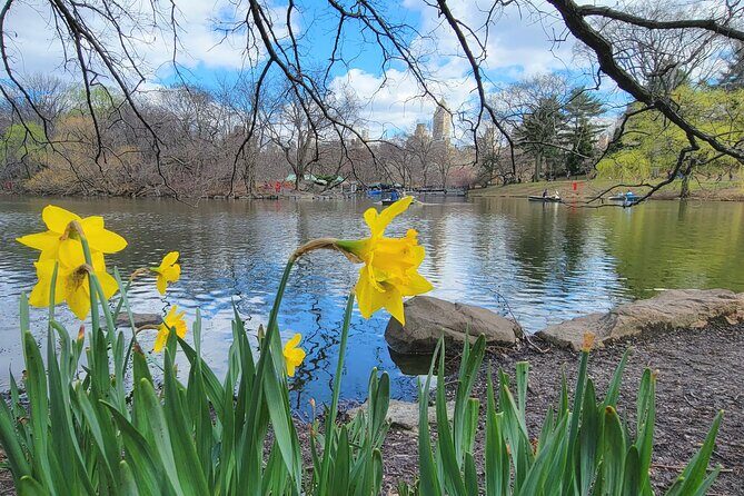 Central Park Secrets And Highlights - A Detailed Look at What to Expect