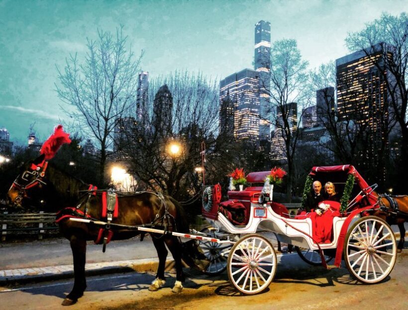 Central Park: Short Horse Carriage Ride (Up to 4 Adults) - Final Thoughts
