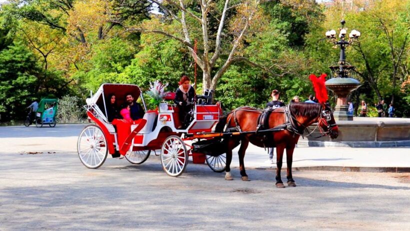 Central Park: Short Horse Carriage Ride (Up to 4 Adults) - FAQ