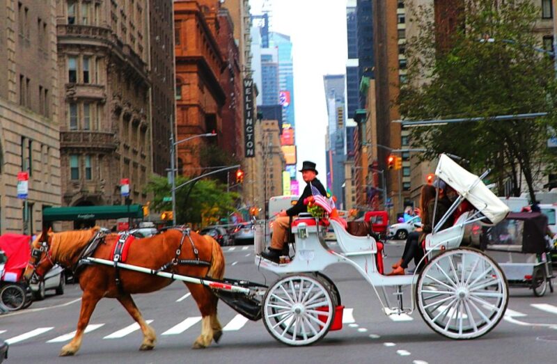 Central Park: Short Horse Carriage Ride (Up to 4 Adults) - What’s Included and What to Expect