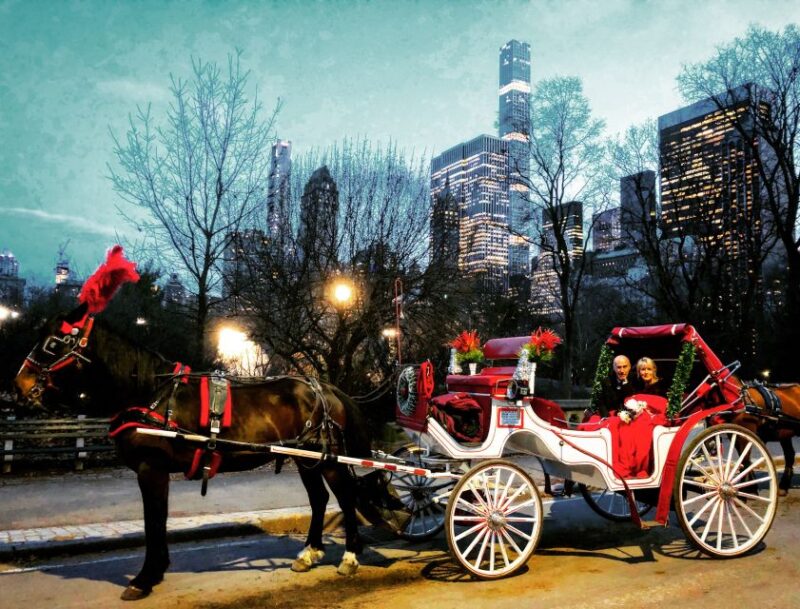Central Park: Short Horse Carriage Ride (Up to 4 Adults) - Practical Details and Tips