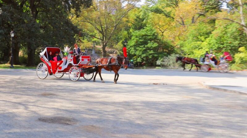Central Park: Short Horse Carriage Ride (Up to 4 Adults) - Authentic Perspectives from Past Participants