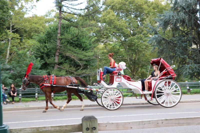 Central Park: Short Horse Carriage Ride (Up to 4 Adults) - Final Thoughts: Is it Worth It?