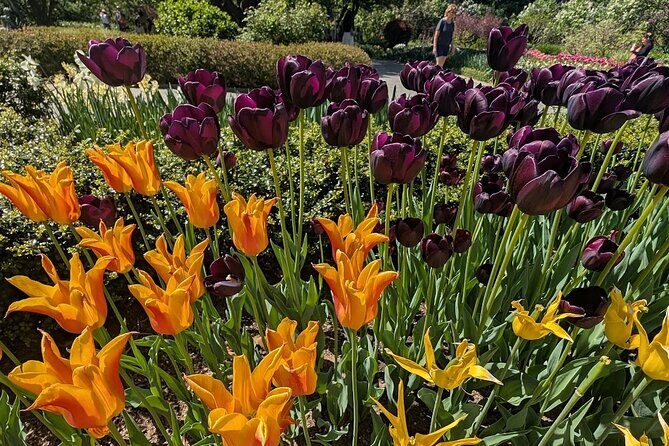 Central Park Sightseeing Guided Hike - The Experience’s Strengths and Considerations