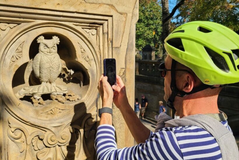 Central Park Tandem Bike Rentals - Real User Perspectives