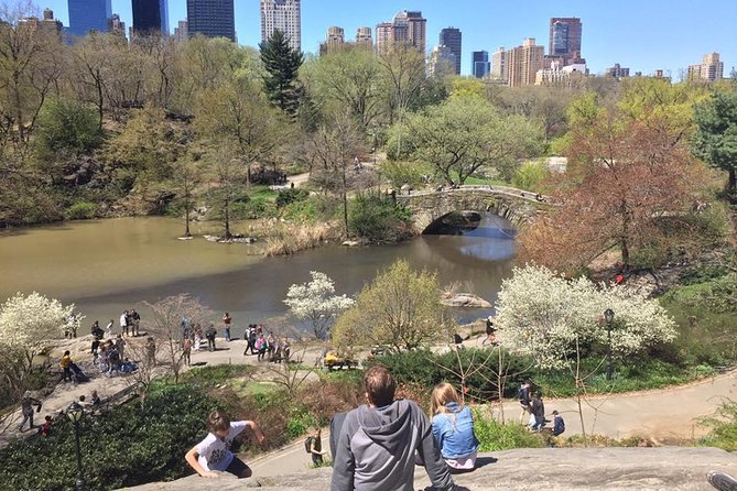 Central Park Walking Tour - Traveler Reviews and Feedback
