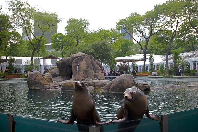 Central Park Wonders And Secrets Shared Walking Tour - Price and Value: Is It Worth It?