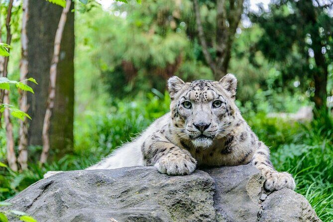 Central Park Zoo Admission Ticket with 4D Theater Access - Who Will Love This Zoo?