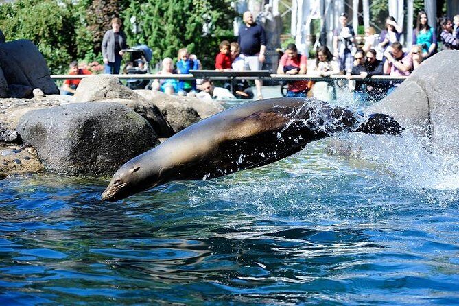 Central Park Zoo Admission Ticket with 4D Theater Access - Frequently Asked Questions