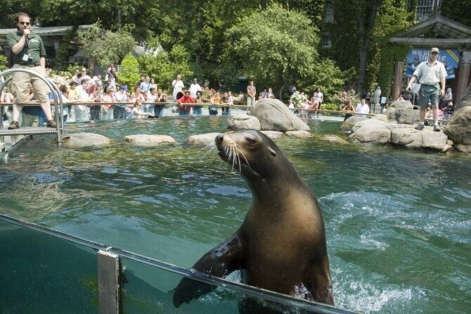 Central Park Zoo and 3hrs Manhattan Walking Tour - Exploring the Tour: A Well-Rounded Introduction to Manhattan
