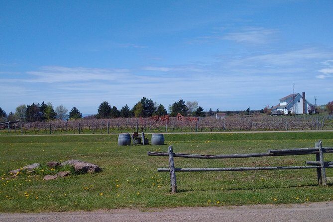 Central PEI Winery, Brewery, and Distillery Tasting Tour DE Force - A Detailed Look at the Itinerary