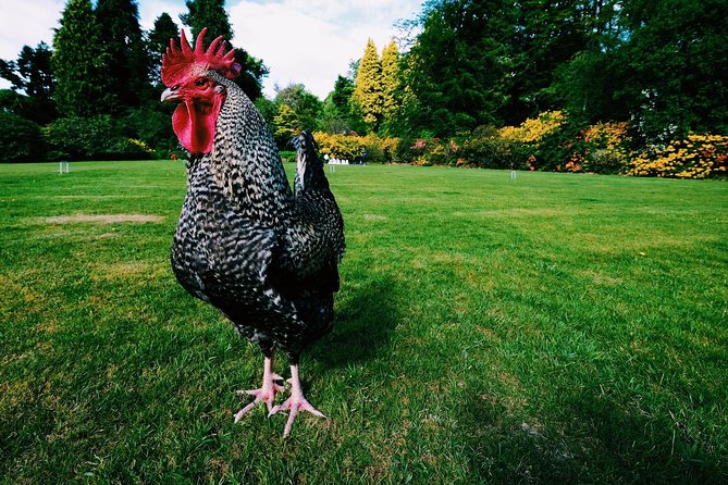 Central Scotland Driving Tour - Stirlingshire (Private) - Tour Inclusions and Exclusions: Whats Covered